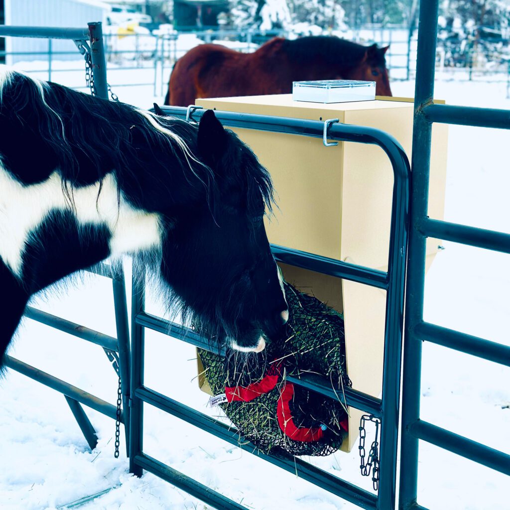 The Perfect Hay Feeder - Fat Pony Feeders